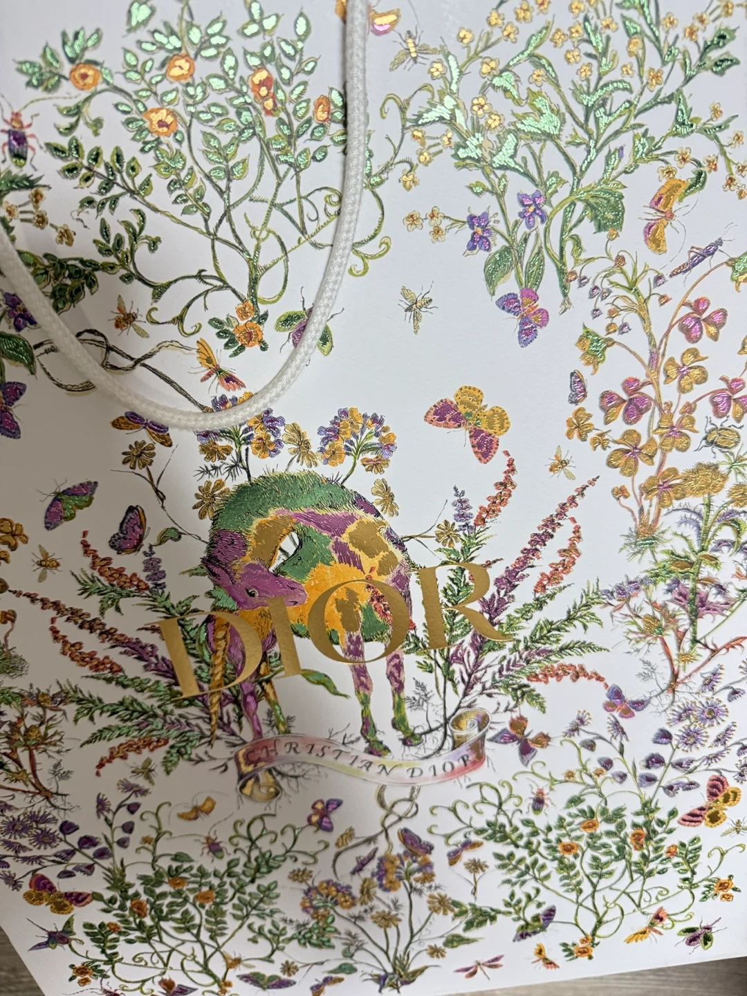 Dior 새들 바이폴드 카드지갑 | 남성패션/잡화 | 당근 중고거래