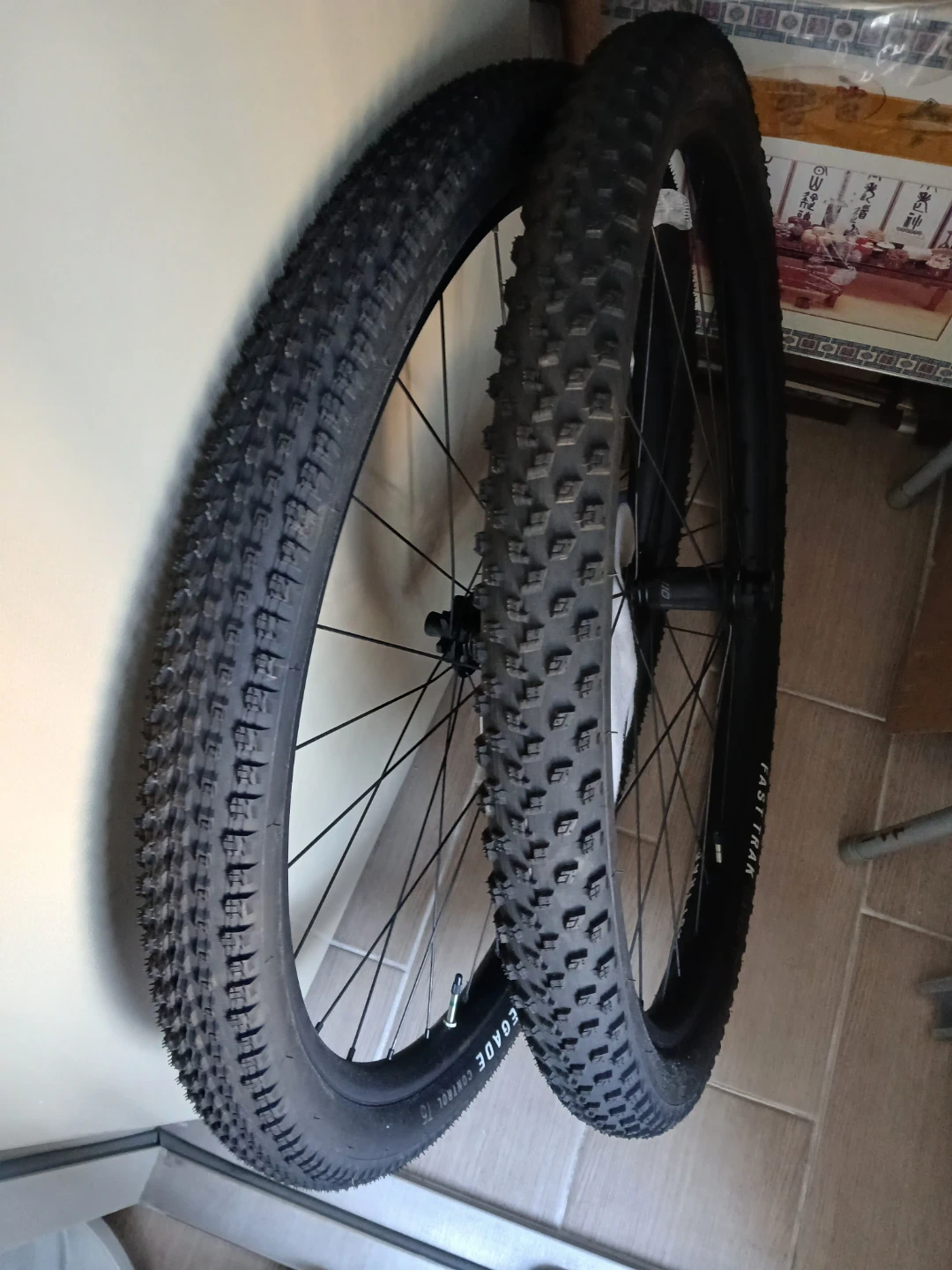 Specialized MTB 29인치 타이어 | 스포츠/레저 | 당근 중고거래