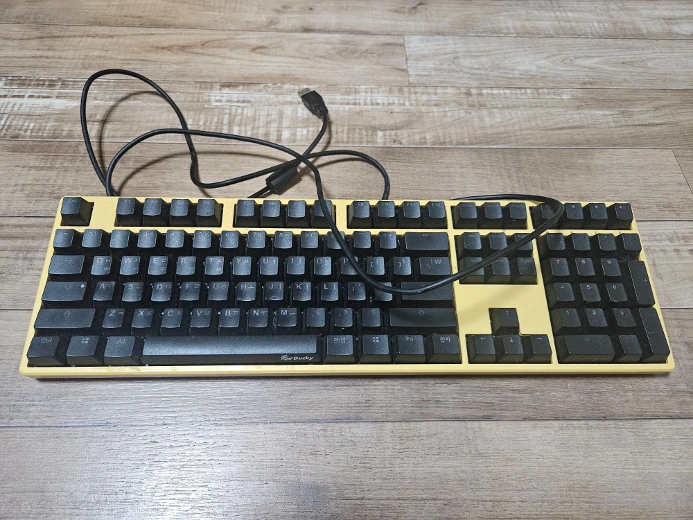 Red Ducky 기계식 키보드(청축) | 디지털기기 | 당근 중고거래