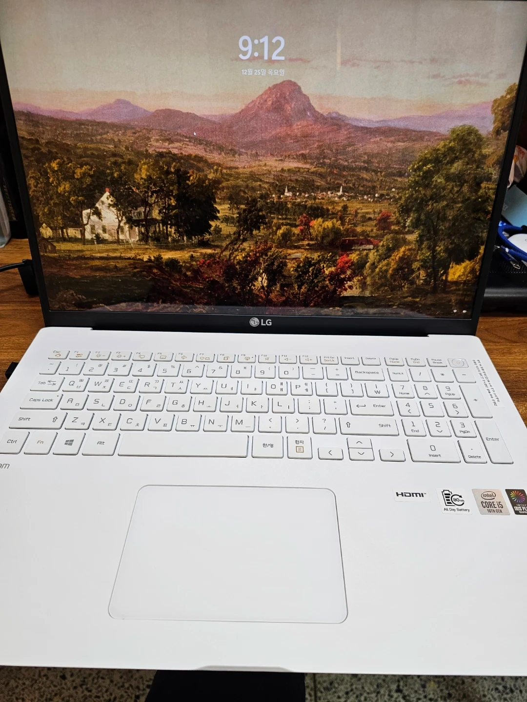 LG 그램 17인치 i5 10세대 16G, 256G | 디지털기기 | 당근 중고거래