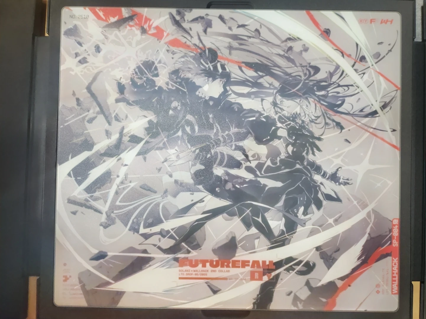 WALLHACK (월핵) FUTURE/FALL 마우스패드 단순개봉 | 취미/게임/음반 | 당근 중고거래