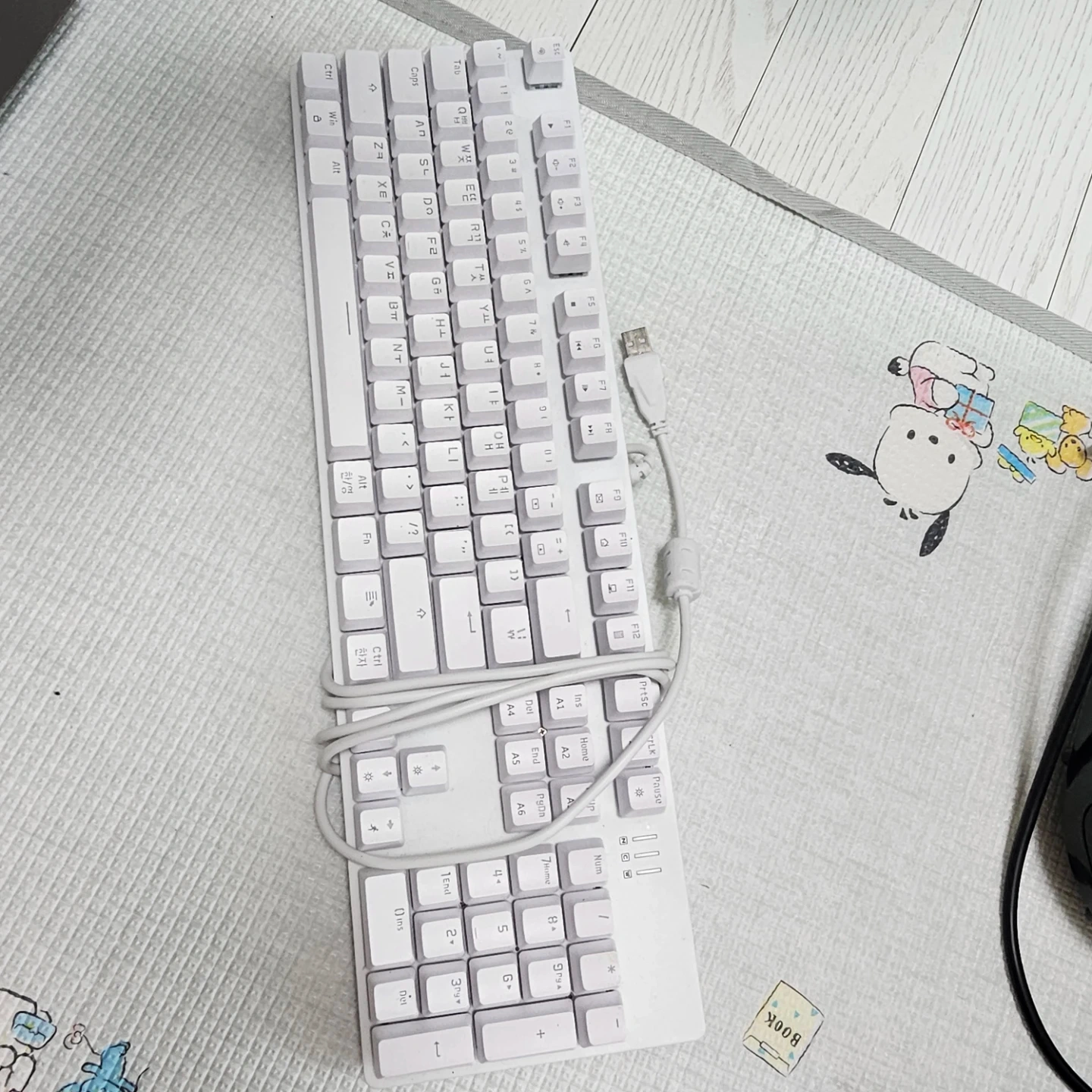 키보드 홈플래닛 AK10 레인보우 LED 기계식 키보드 | 디지털기기 | 당근 중고거래