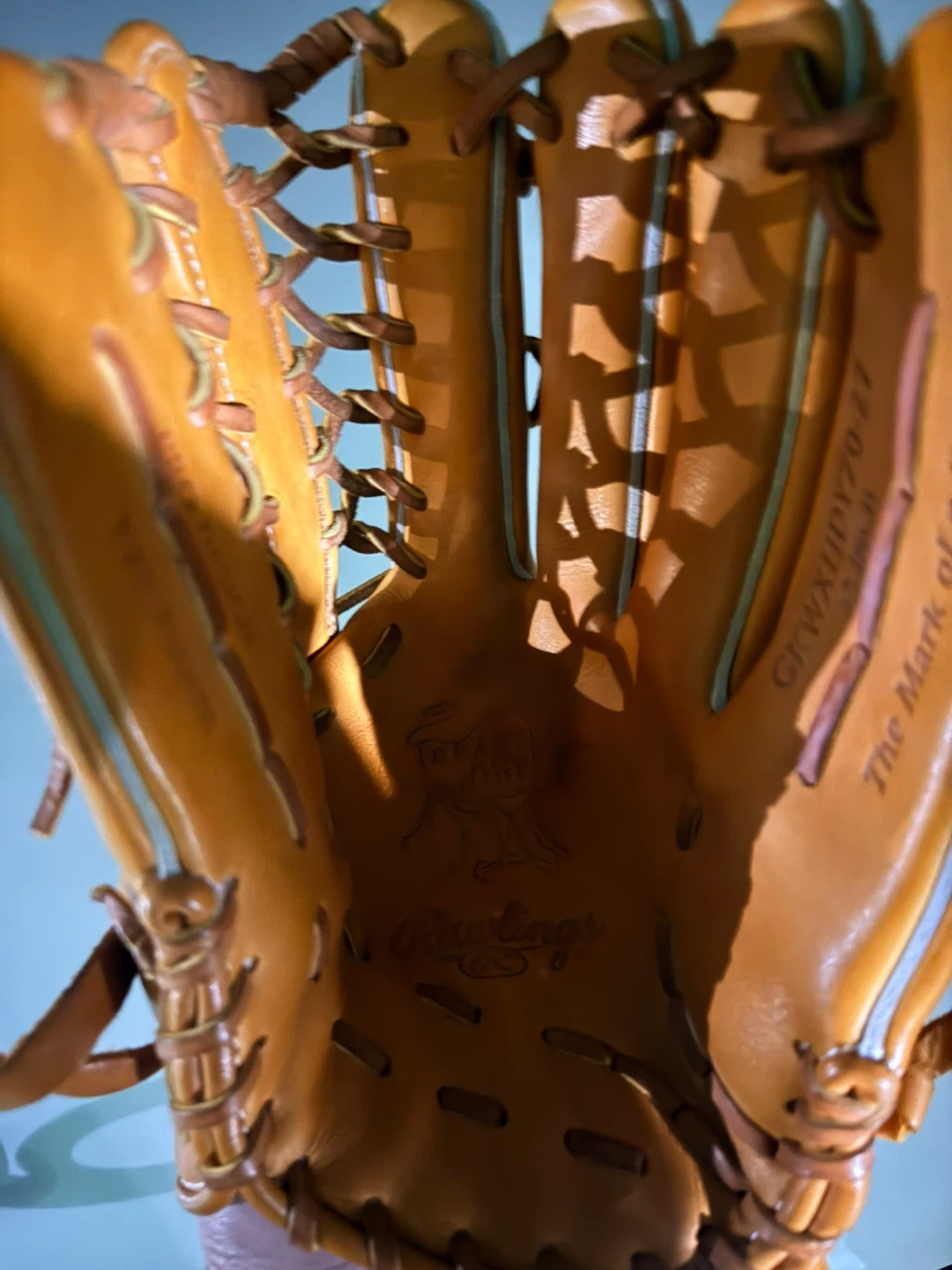 롤링스 HOH 외야 글러브 GKWXHDY70-27 리치탄 | 스포츠/레저 | 당근 중고거래