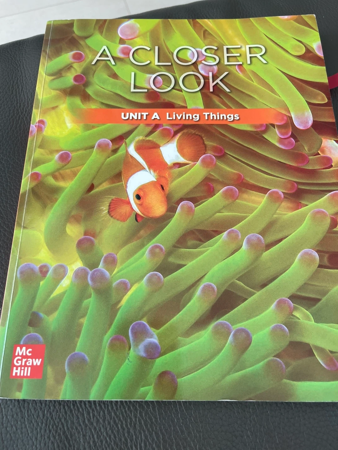 A Closer Look G3 Unit A 교재 | 도서 | 당근 중고거래