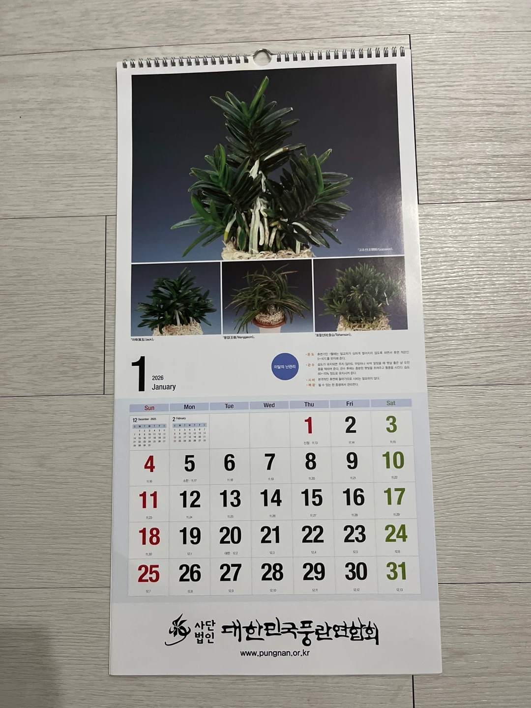 2026년 벽걸이 달력 | 생활/주방 | 당근 중고거래