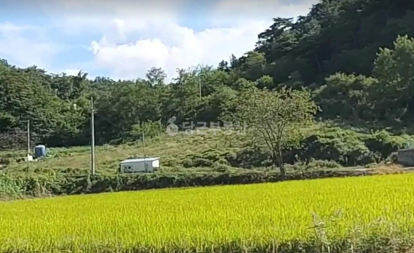 다덕약수탕 인근 매매 4,000 | 당근 부동산