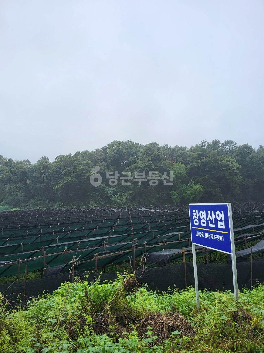 대소ic 15븐거리 매매 9억 | 당근 부동산
