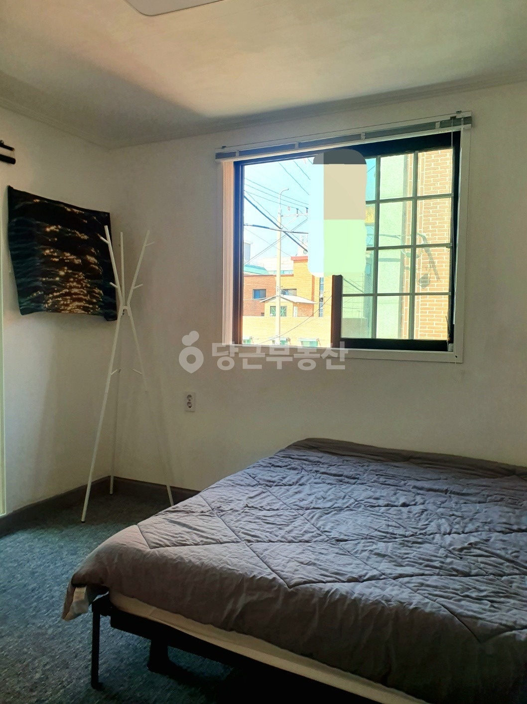 경기도 시흥시 정왕동 단기 직거래 매물 | 당근