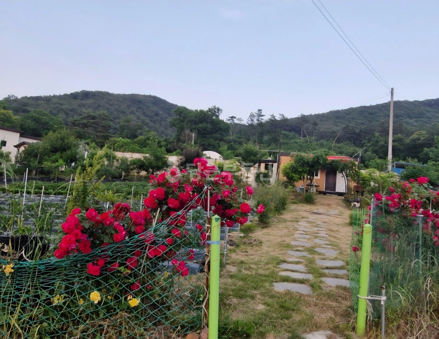 미원읍내에서 5분 창리에선3분 매매 1억 5,000 | 당근 부동산
