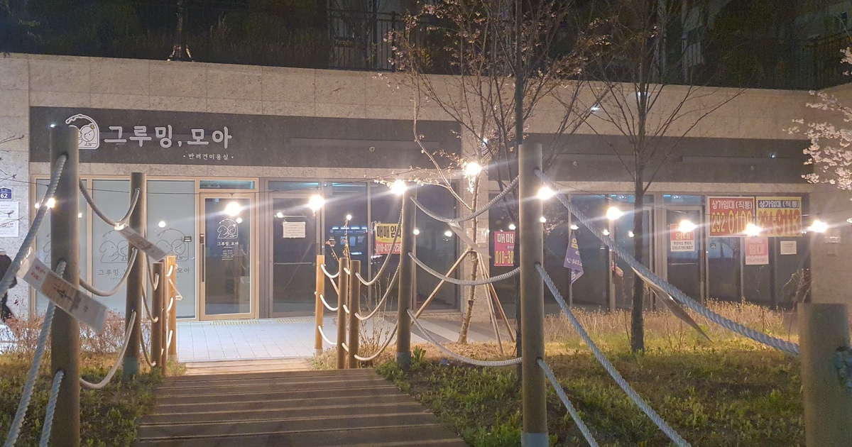 버스터미널 바로옆 주차장 후면 옆 월세 2000 80 당근 부동산