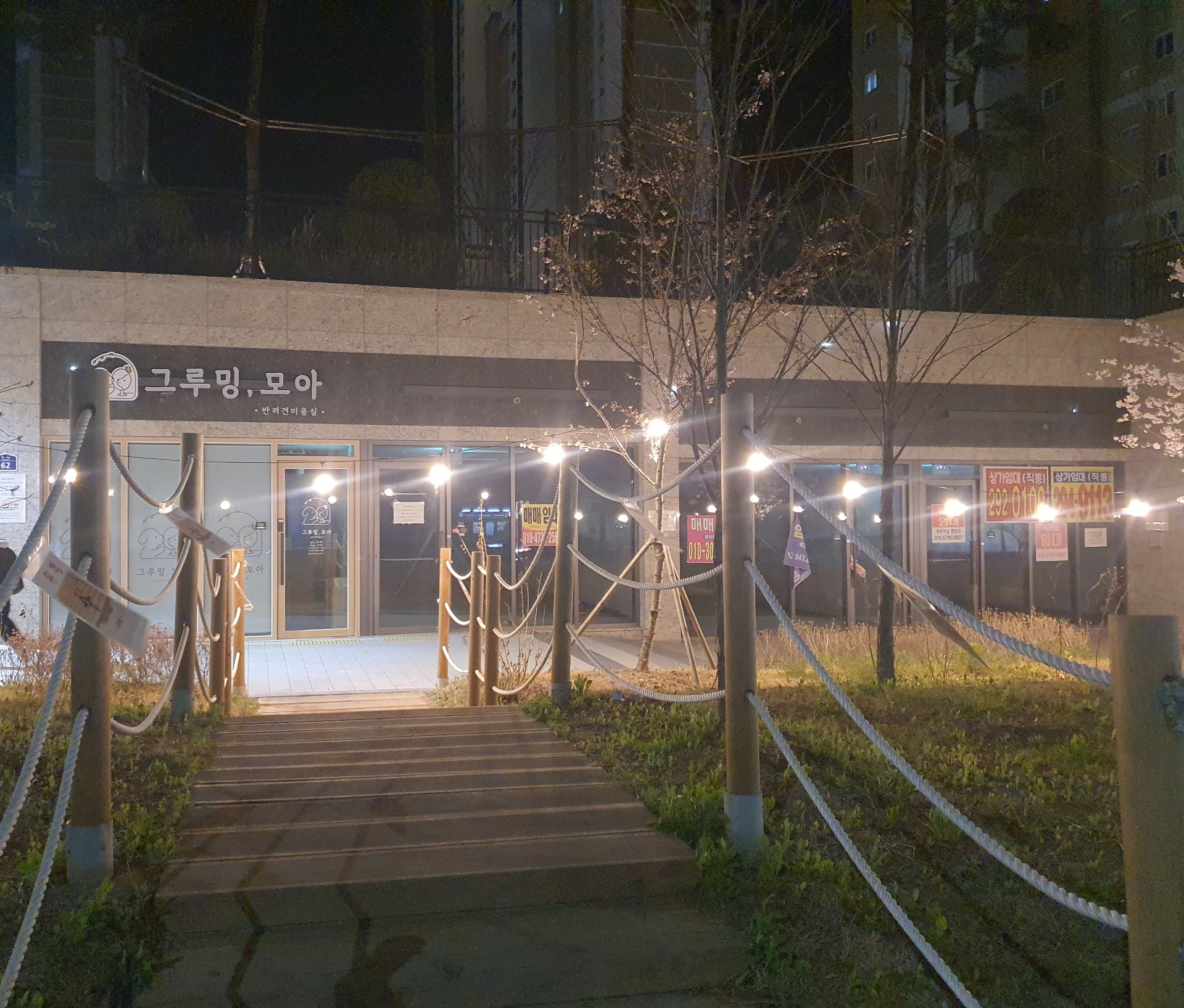 버스터미널 바로옆 주차장 후면 옆 월세 2000 80 당근 부동산