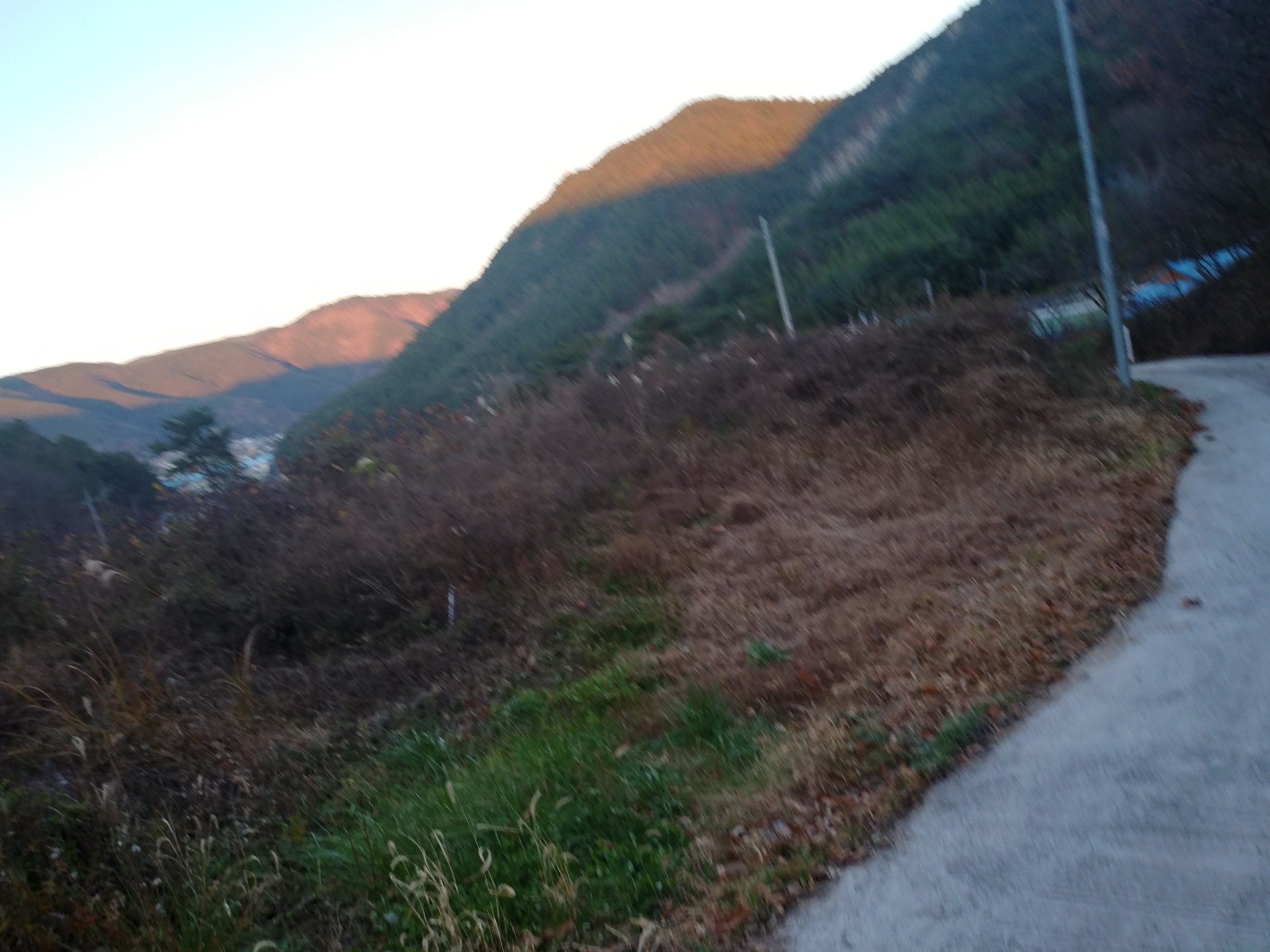 진입편리ㆍ이웃과 적당한거리 ㆍ뷰가아름다운곳 매매 5000 당근 부동산