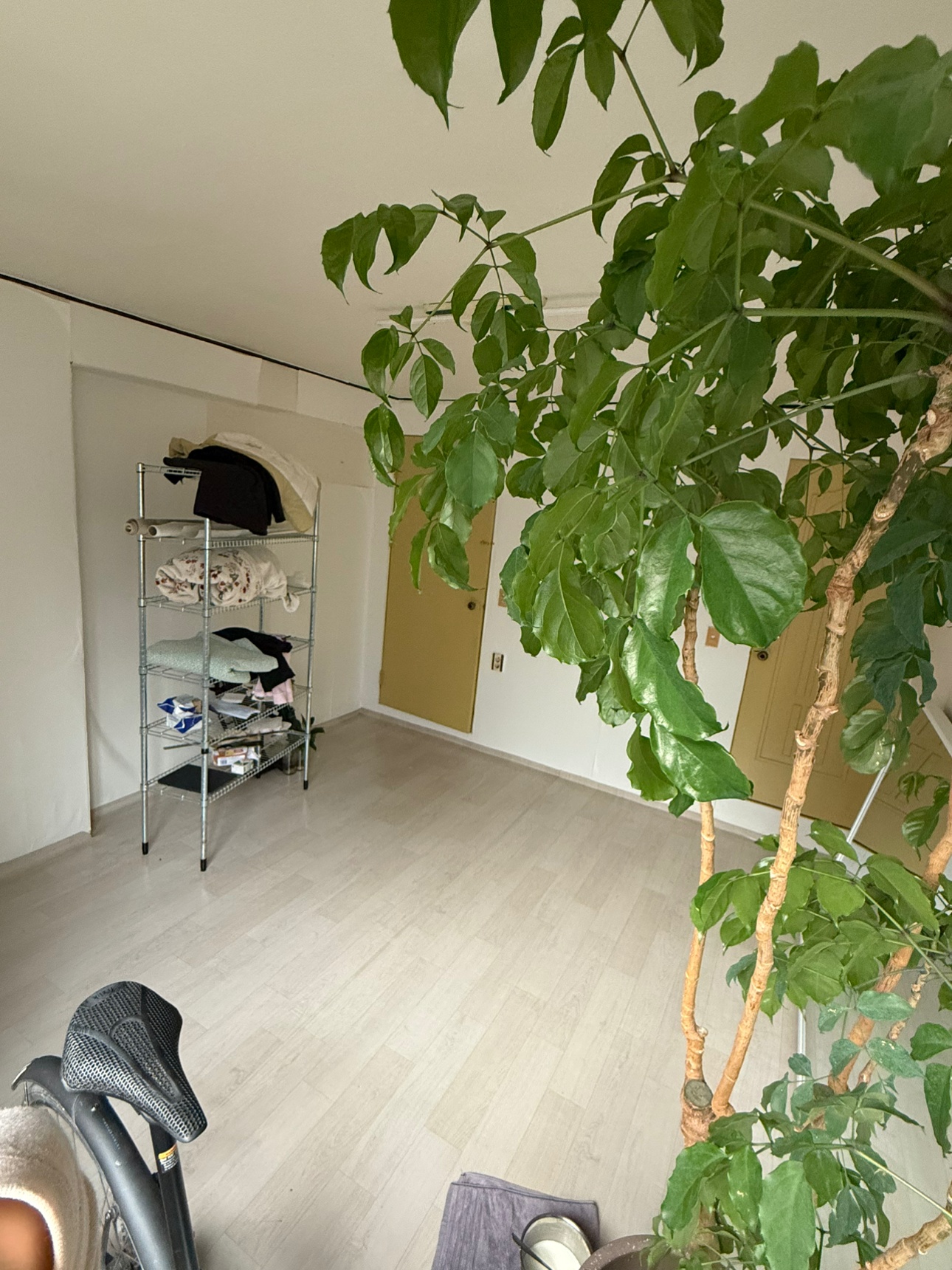 금정역과 산본시장 도보 3~5분 거리 위치 월세 500 / 35 | 당근 부동산