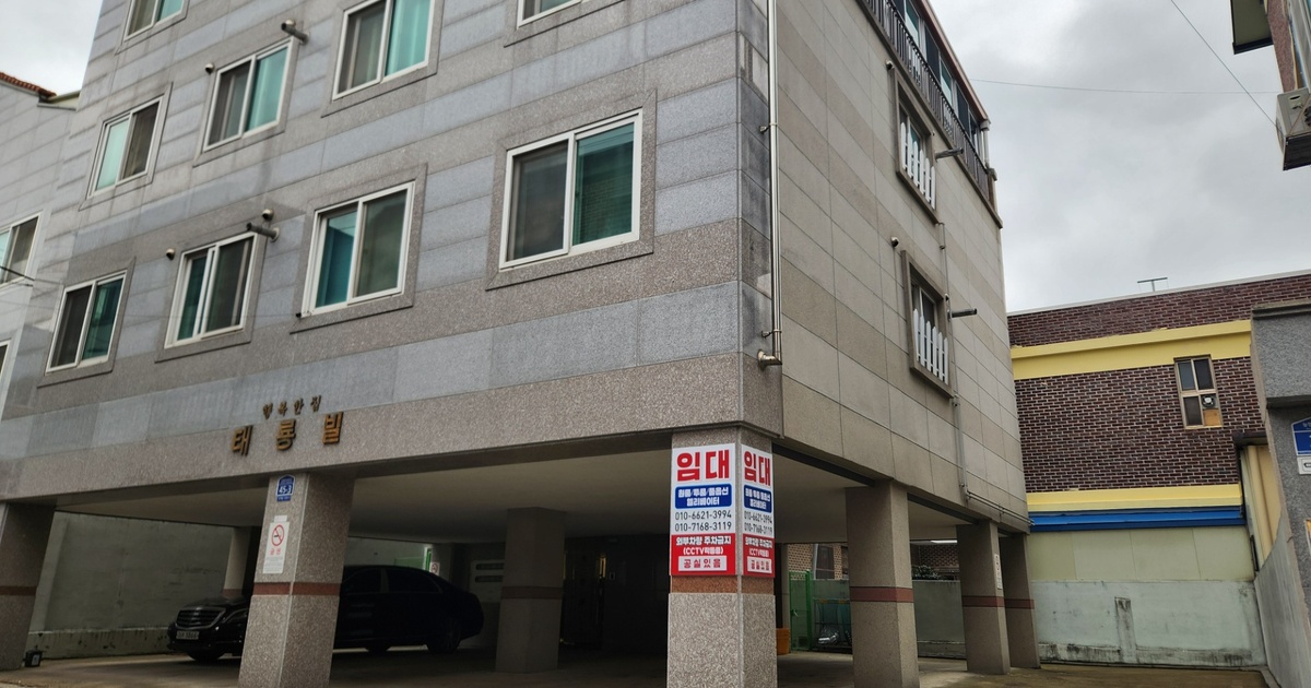 버스정류장 도보3분 월세 100 25 당근 부동산