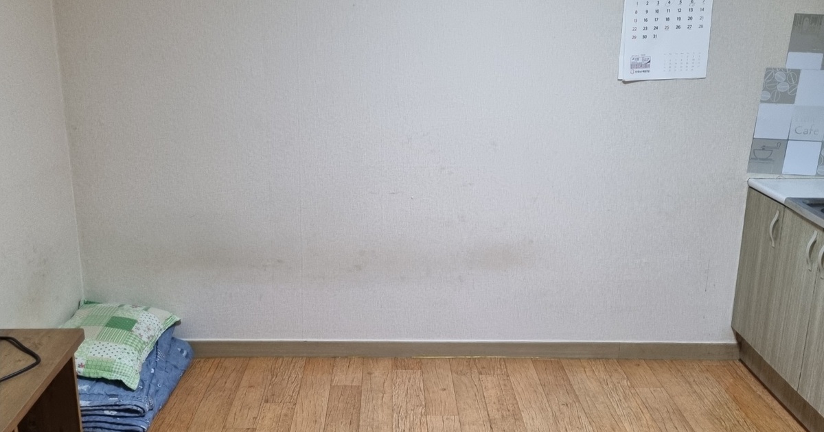 하나로마트2분거리 월세 100 30 당근 부동산